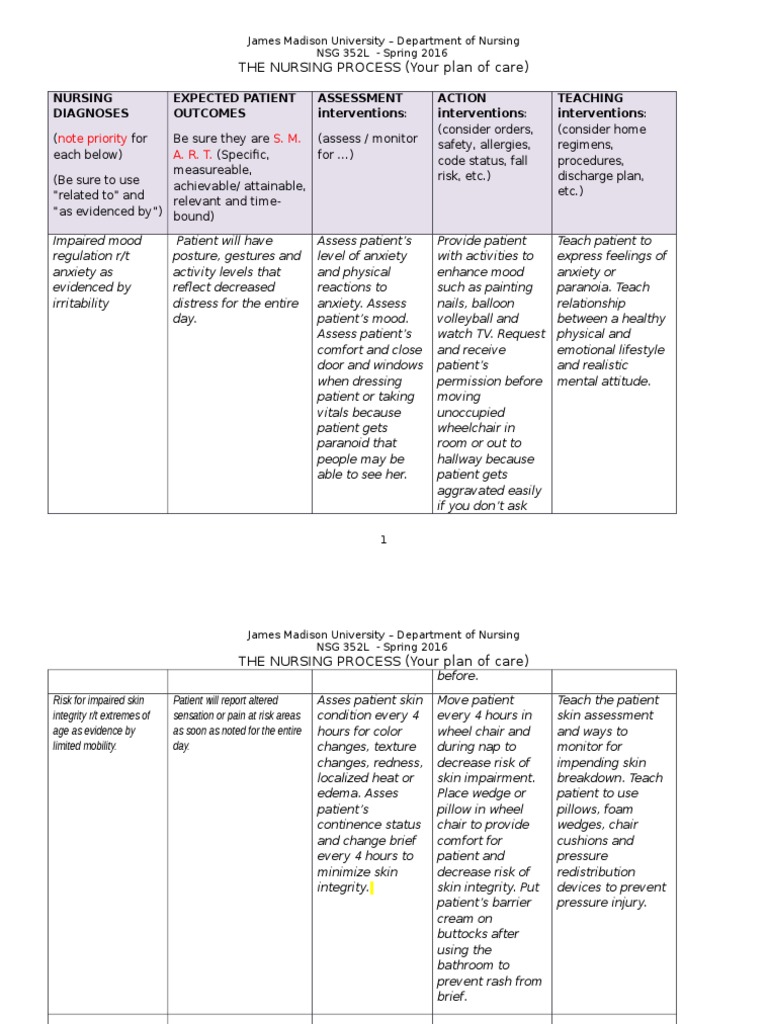 Care Plan Assignment 7-4 | PDF | Paranoia | Nursing