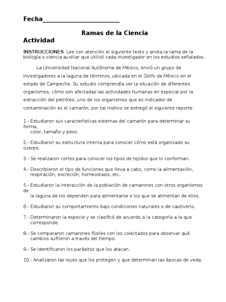 Ramas de la Ciencia en Estudio de Camarones | PDF | Ciencias sociales ...