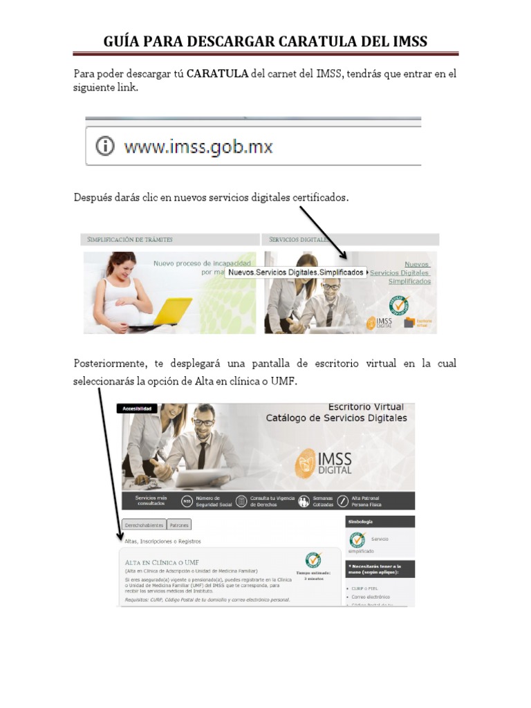 Guia de Caratula Del Carnet Del IMSS PDF | PDF | Informática ...