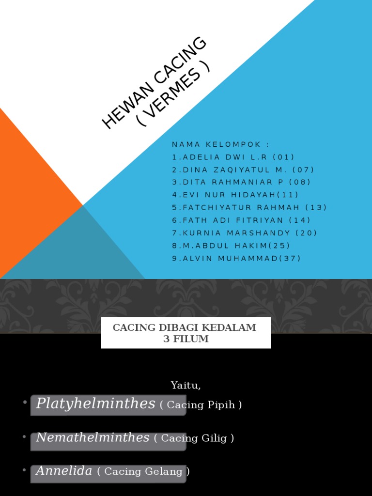 Klasifikasi dan Jenis Cacing | PDF