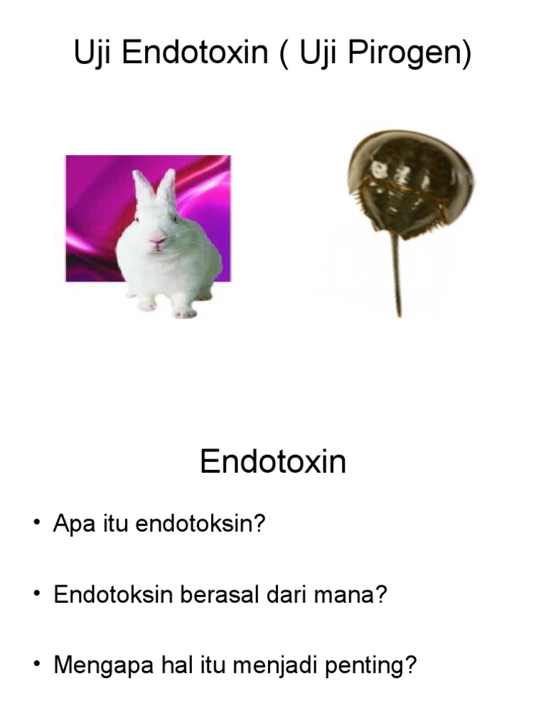 Uji Pirogen (Lal) | PDF