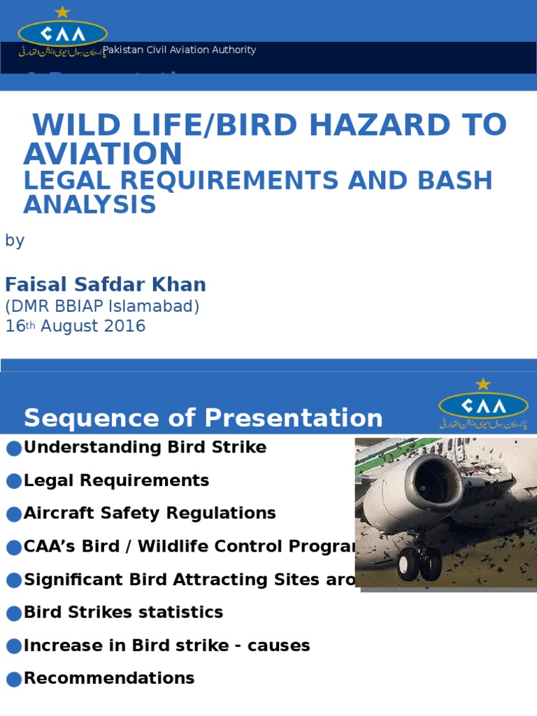 Bash by DMR For August 2016 | PDF | Airport | Aviation