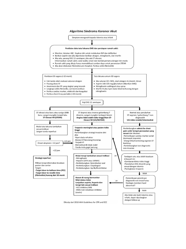 Bagan ACLS | PDF