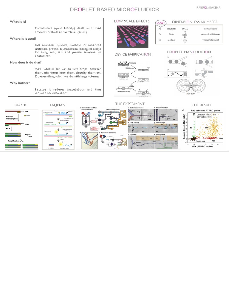 Handout Pages Final | PDF
