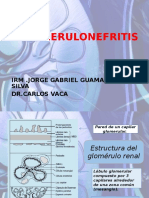 Inserto Esfinto Plus | PDF | Medicina CLINICA | Especialidades Medicas