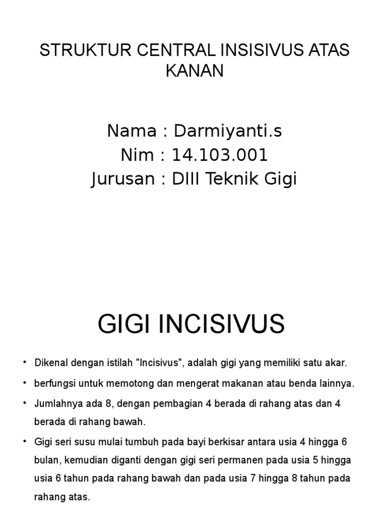 Anatomi Gigi Insisivus Sentral Atas Kanan | PDF