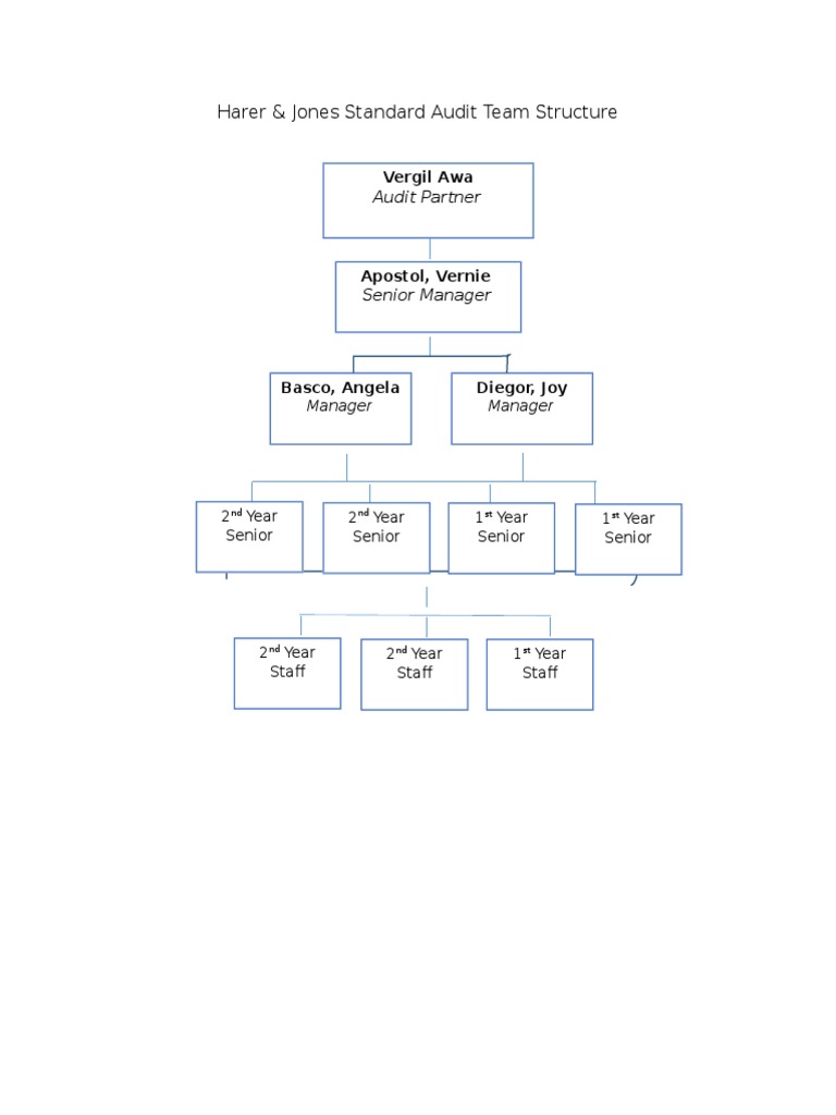 Harer & Jones Standard Audit Team Structure | PDF