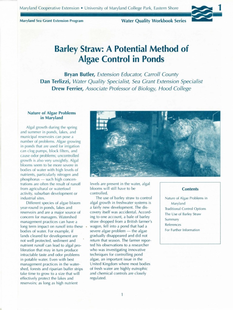 Barley Straw: A Potential Method of Algae Control in Ponds | Download Free PDF | Algae | Pond