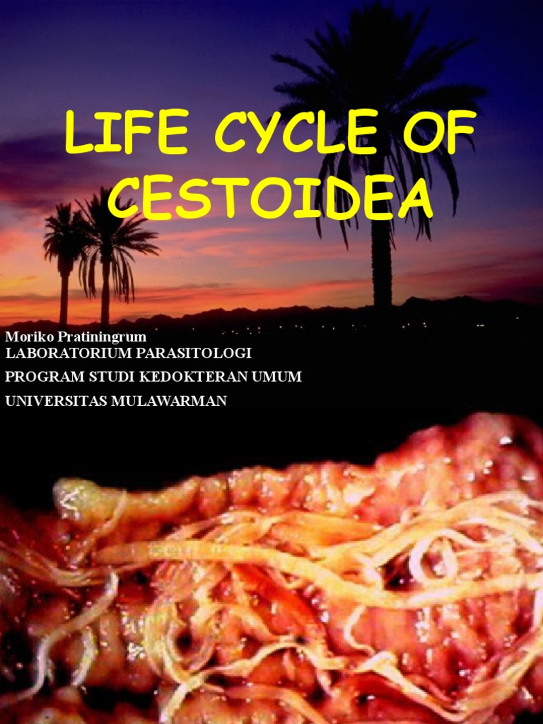 Life Cycle of Cestode Parasites | PDF | Wellness