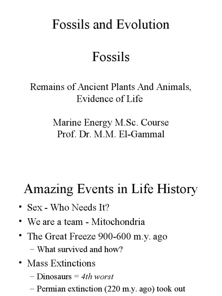 Fossils and Evolution Fossils | PDF