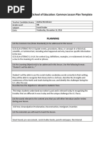 Immigration Lesson Plan | PDF | Economies | Immigration