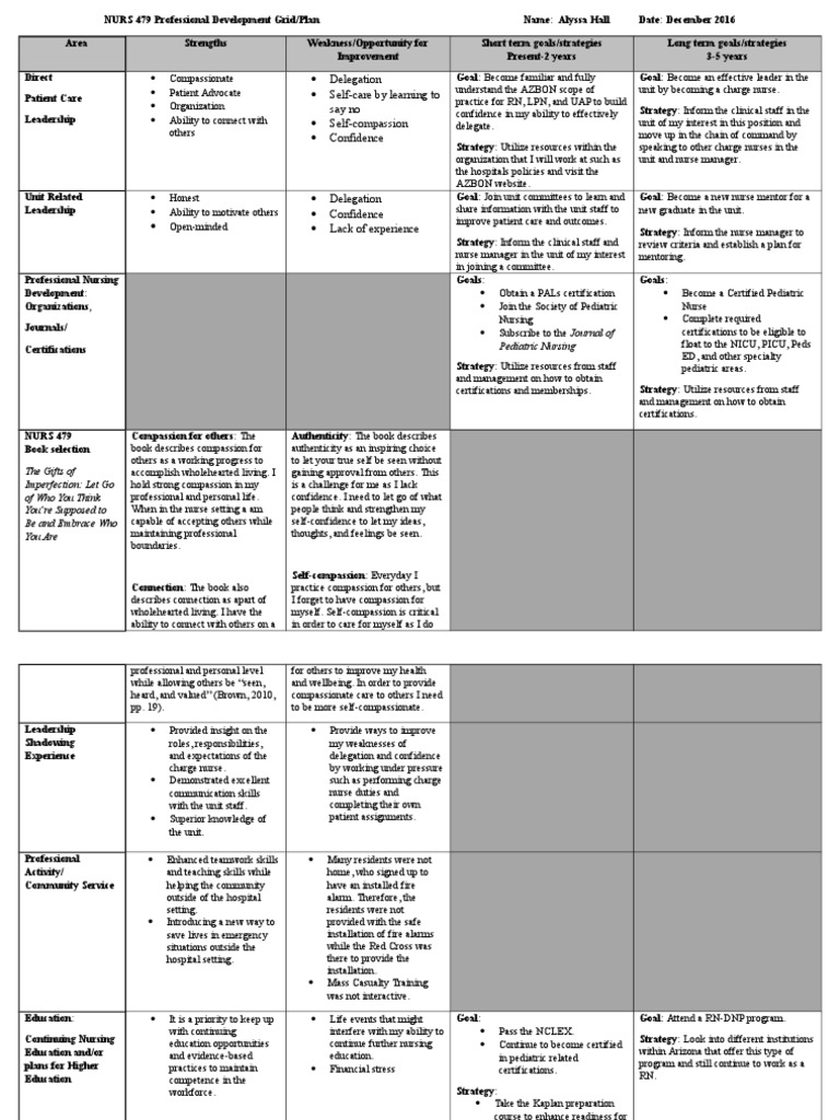 Professional Development Grid Ahall | PDF | Nursing | Professional ...