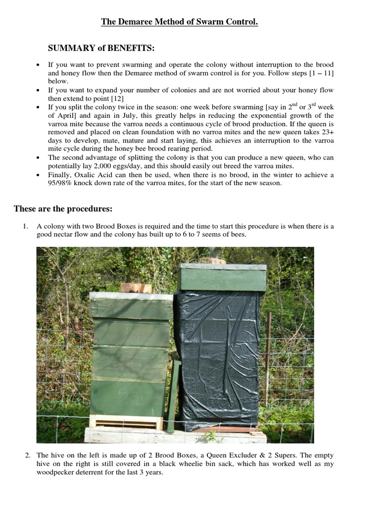 Demaree Method of Swarm Control | Honey Bee | Beehive