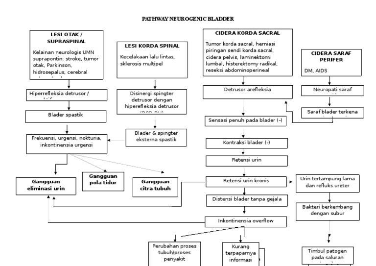 Pathway Neurogenic Bladder | PDF