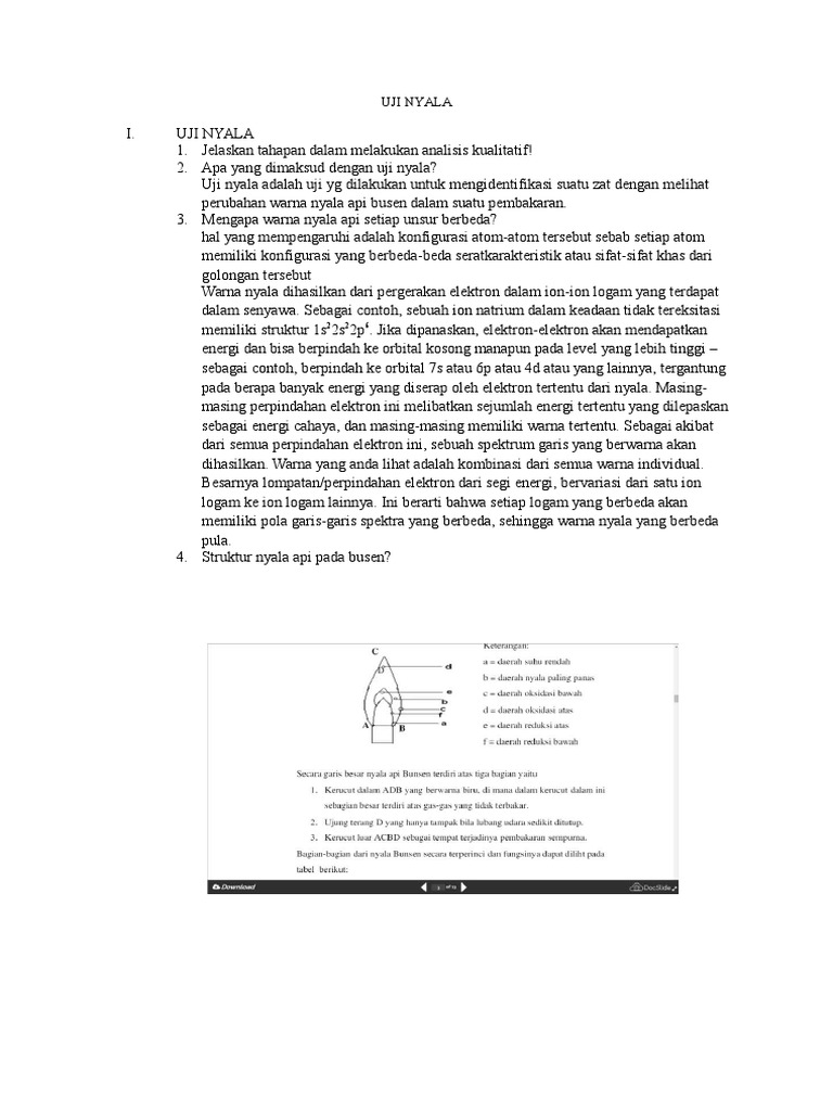 Prosedur dan Aplikasi Uji Nyala | PDF | Sains & Matematika