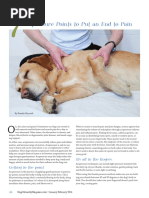 Dog Acupressure Points Guide | PDF | Abdomen | Foot