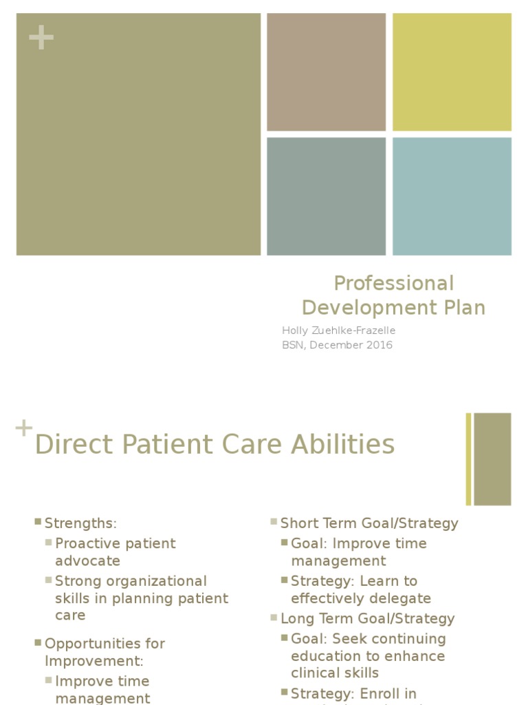 Zuehlke-Frazelle Professional Development Presentation | PDF | Nursing ...