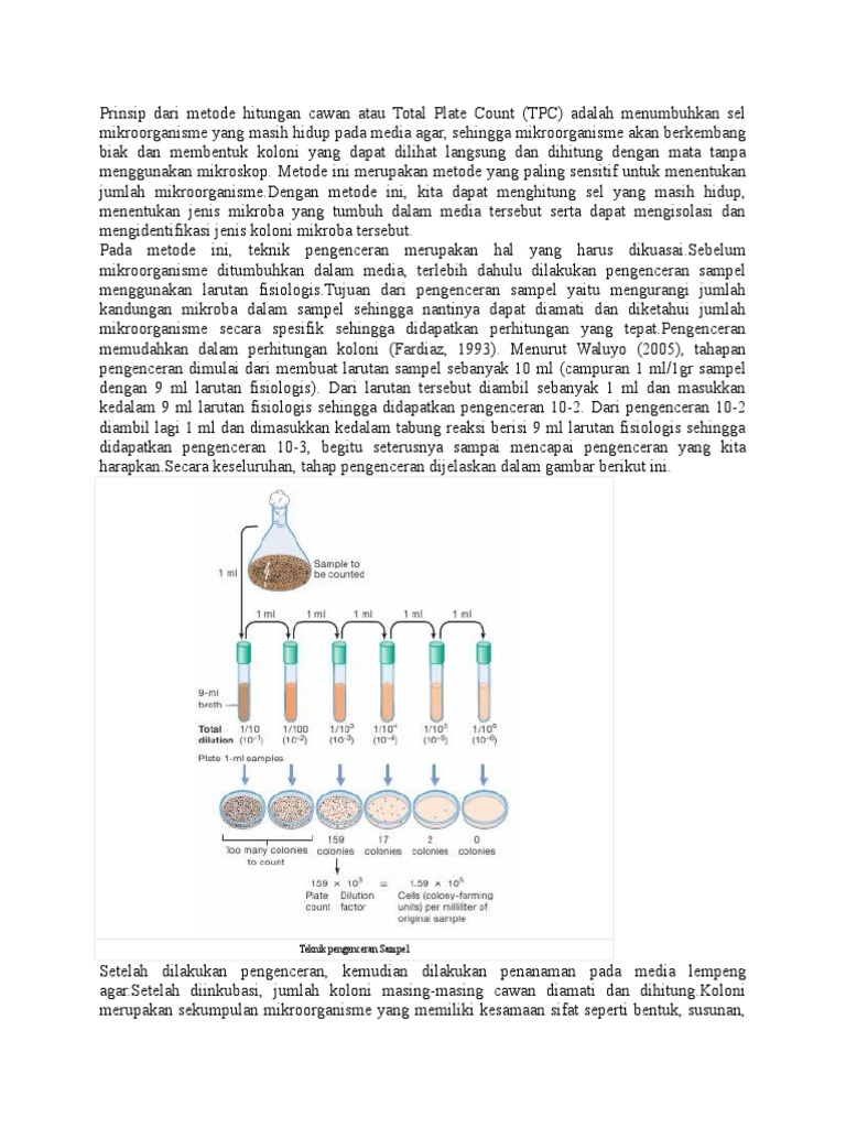 Prinsip Dari Metode Hitungan Cawan Atau Total Plate Count | PDF | Sains ...