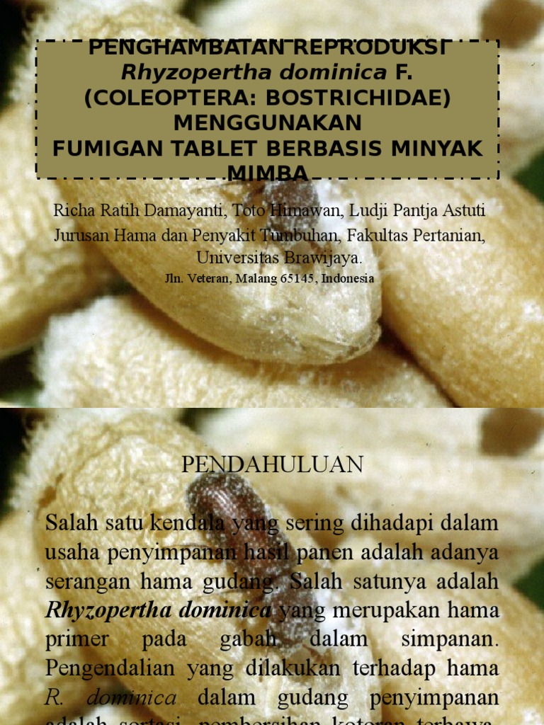 Teknik Penyimpanan Dan Penggudangan | PDF