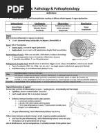 Pathoma Notes CH 1 3 PDF | PDF | T Helper Cell | Cytotoxic T Cell