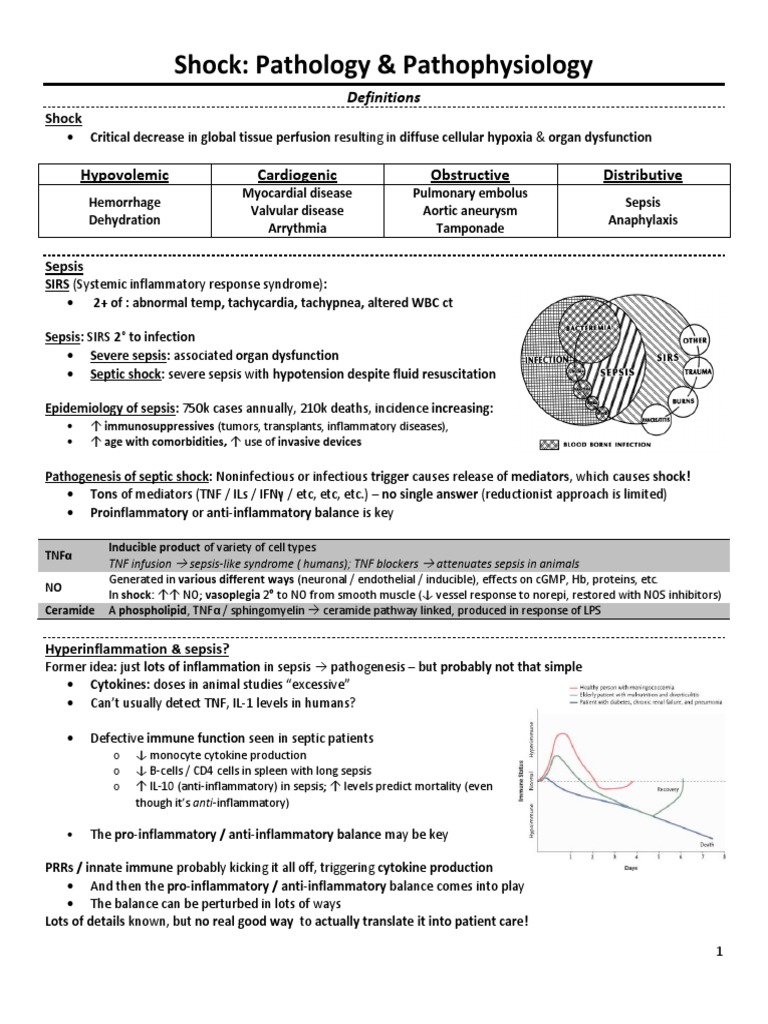 199991641-Shock-Pathophysiology-Pathology.pdf | Inflammation | Shock ...