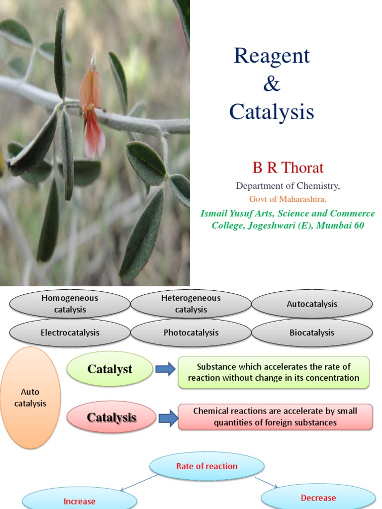 Reagent and Catalysis | Download Free PDF | Catalysis | Alkene