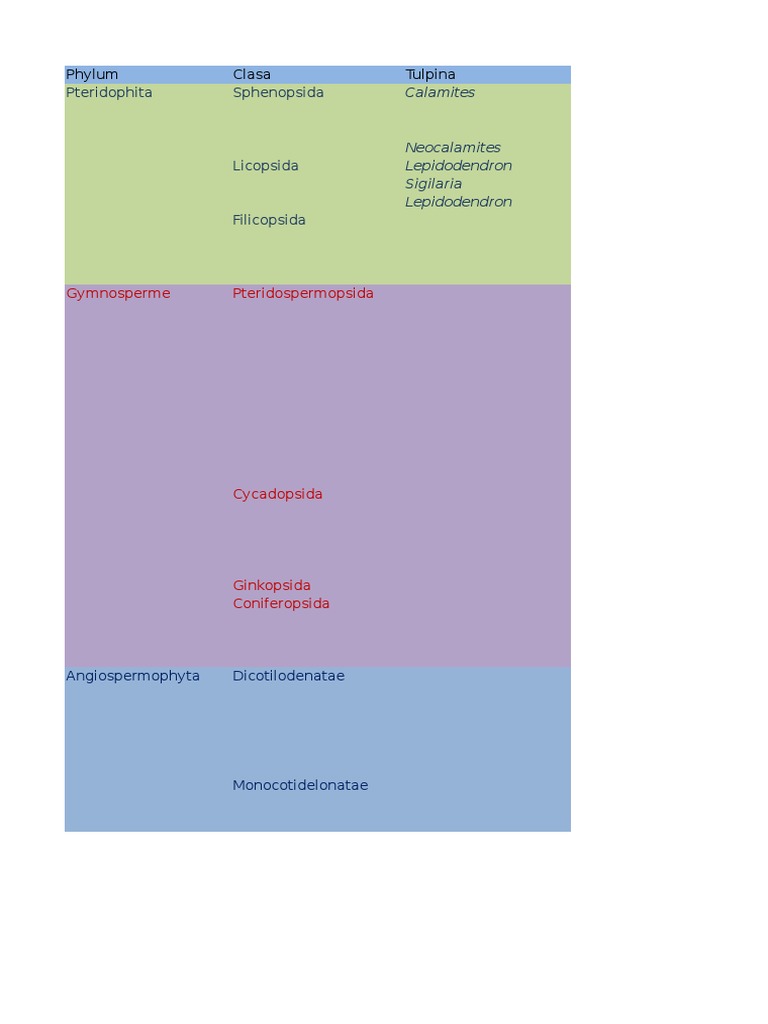 Overview of Plant Phyla and Classes | PDF