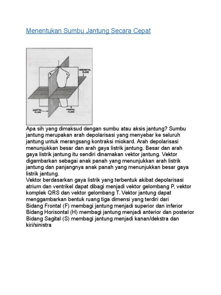 Menentukan Sumbu Jantung Secara Cepat | PDF
