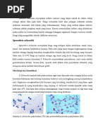 Interpretasi Hasil Pemeriksaan TCM | PDF