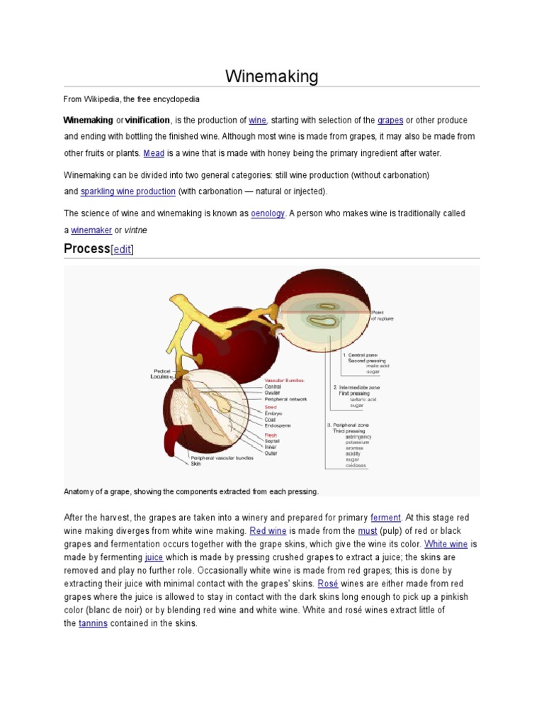 Winemaking: Process | PDF | Winemaking | Fermentation In Winemaking