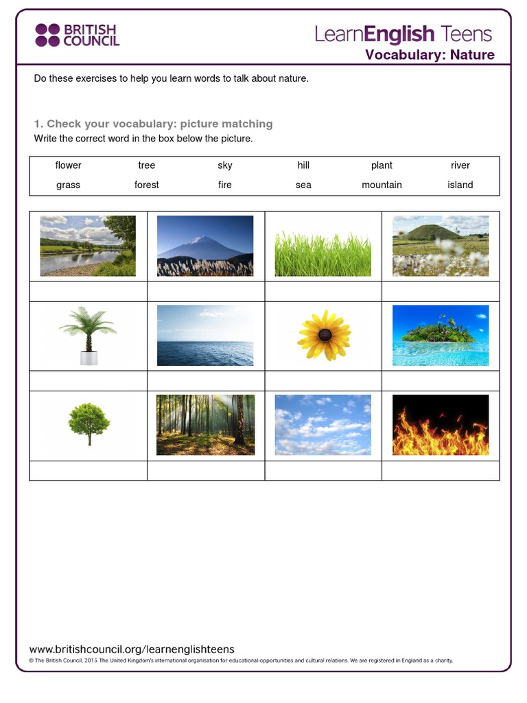 Nature - Exercises | PDF