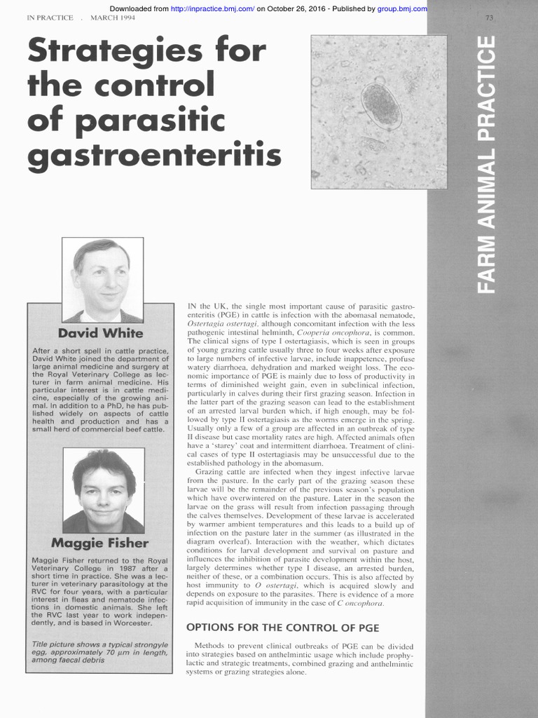 Autoworm Bolus for Cattle PGE Control | PDF | Cattle | Grazing