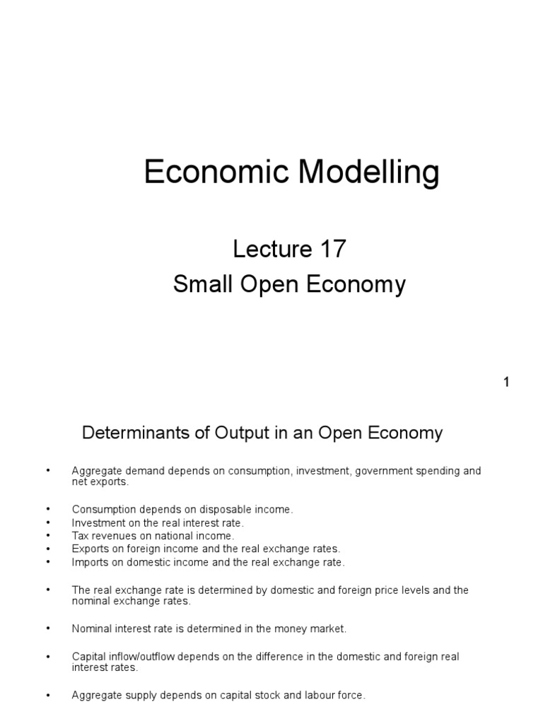 Economic Modelling Small Open Economy Pdf Government Budget