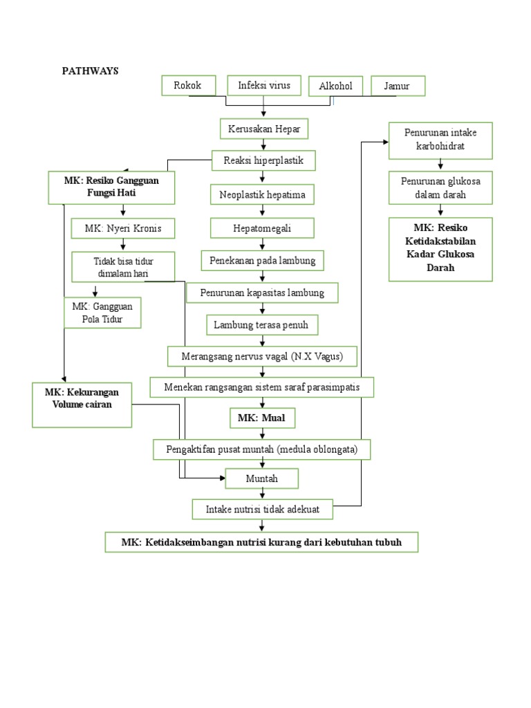 Pathways Nutrisi | PDF