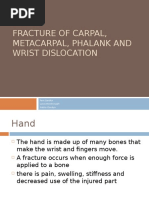 Handout 2 Semmes Weinstein Monofilaments | PDF