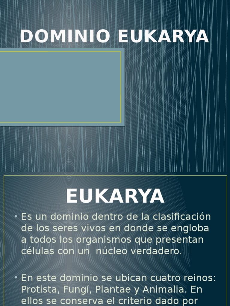 Dominio Eukarya | PDF | Eucariotas | Plantas