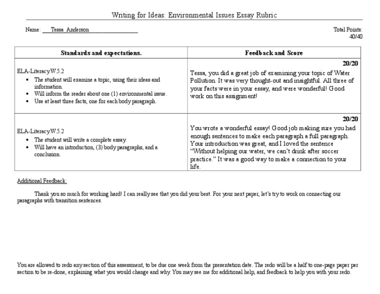 Environmental Issues Essay Rubric | PDF | Career & Growth