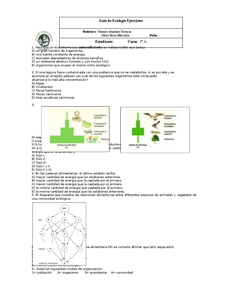 Guia Eco 1 Ejercicios | PDF | Cloroplasto | Organismos