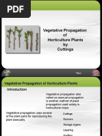 Class 10 - Reproduction | PDF | Reproduction | Sexual Reproduction