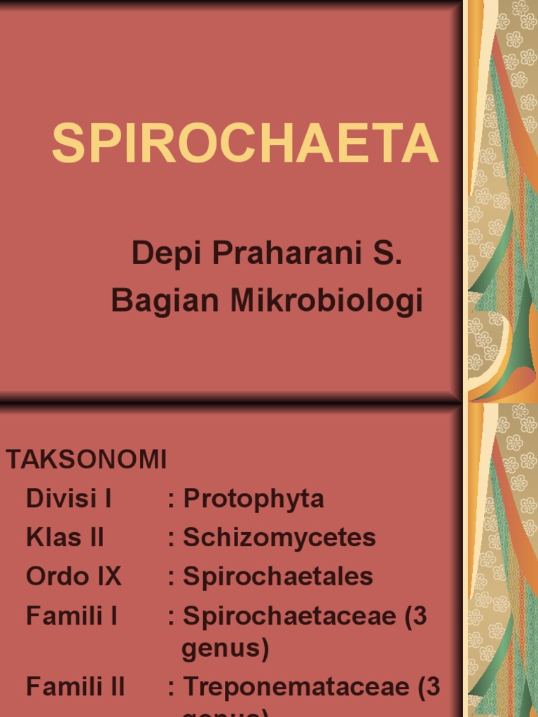 SPIROCHAETA | PDF
