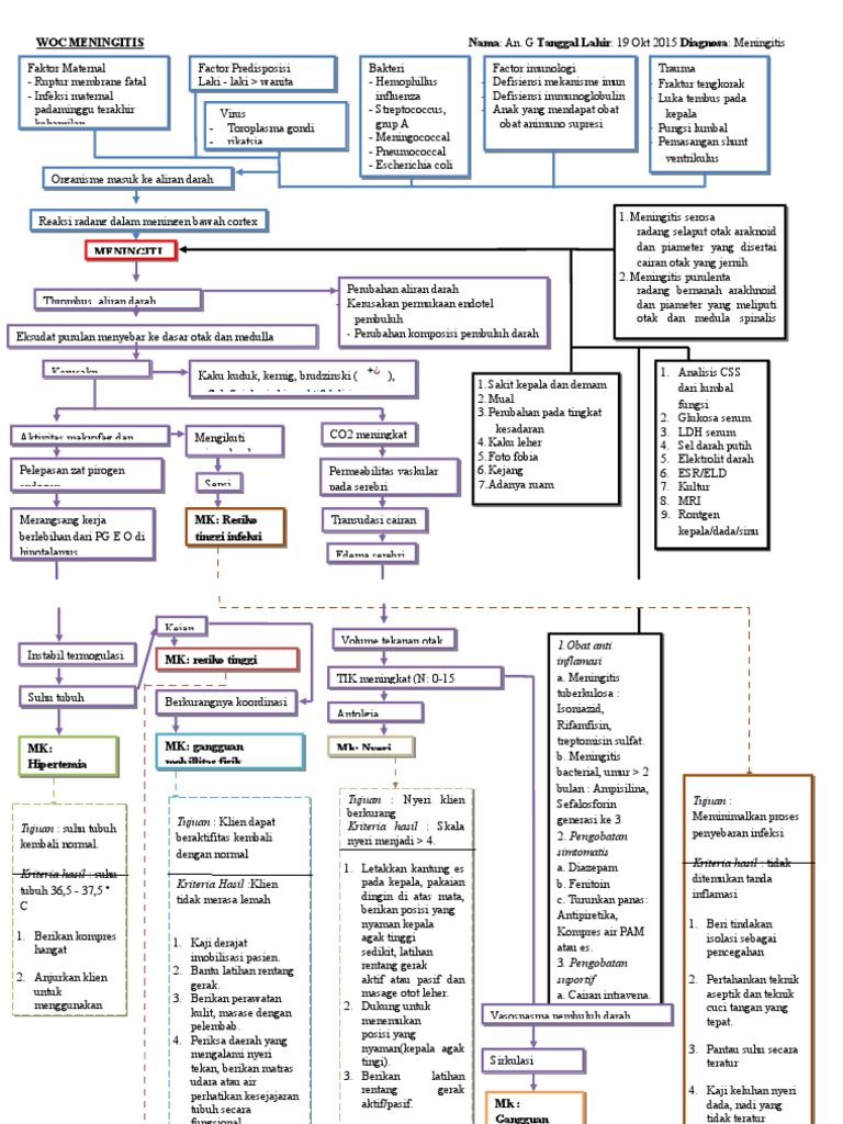 Woc Meningitis | PDF