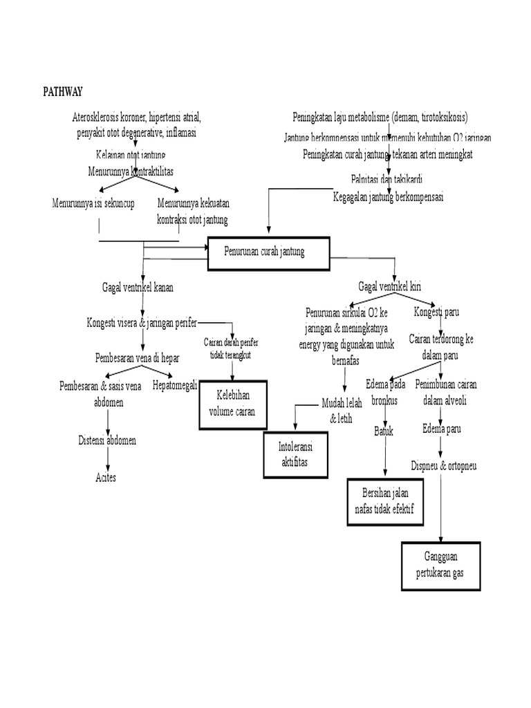 Pathway ADHF | PDF