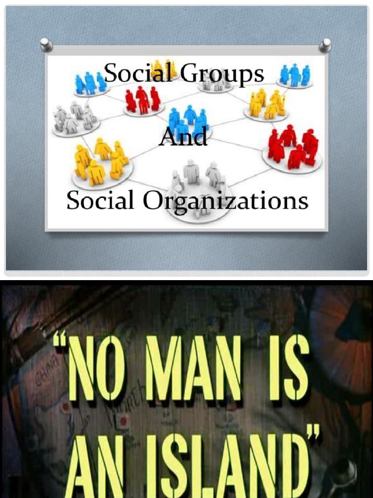 Types and Structures of Social Groups | PDF | Social Group | Institution