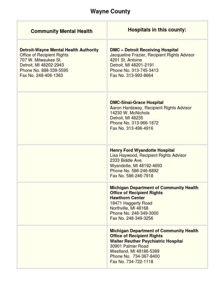 CMH LPH Map - Wayne 448715 7 | PDF | Politics