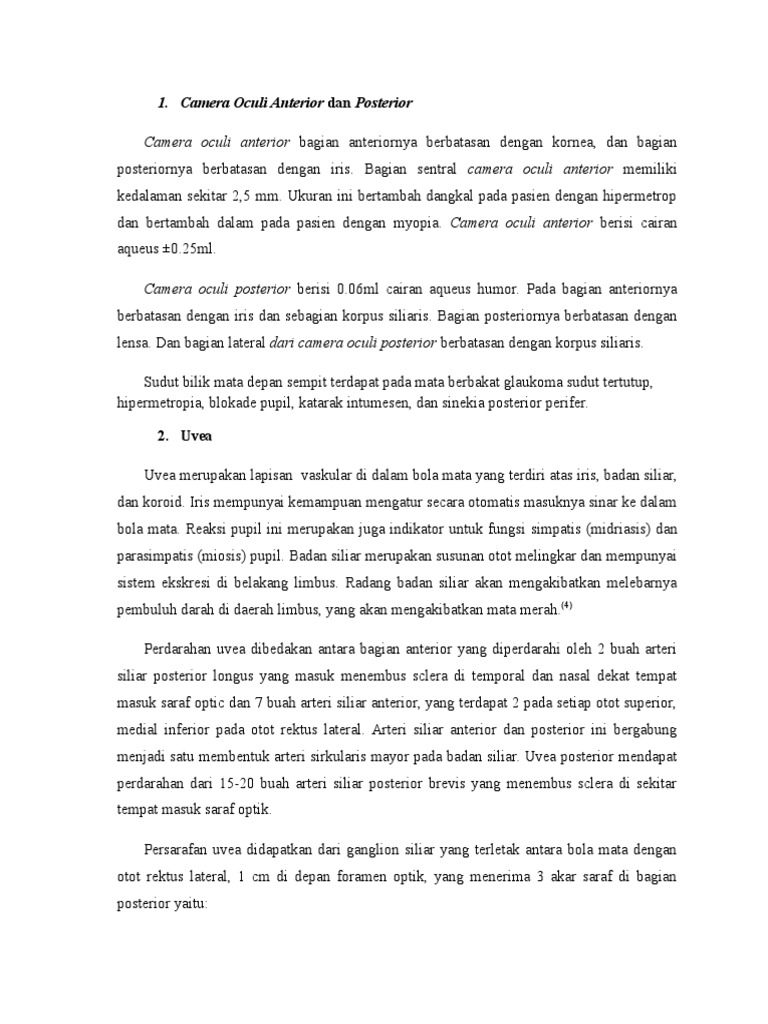 Camera Oculi Anterior Dan Posterior | PDF