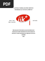 Tes Esbach | PDF | Kesehatan Holistik