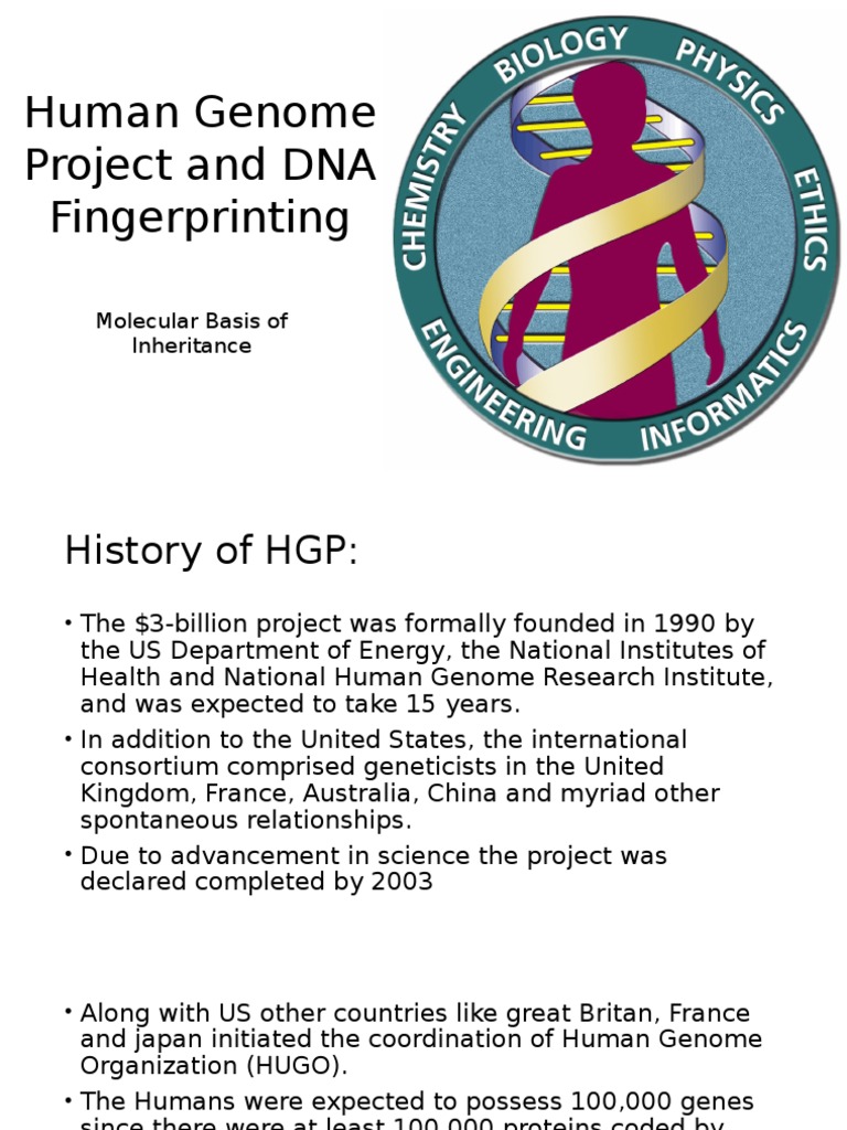 Human Genome Project Overview and Impact | PDF | Genomics | Genome