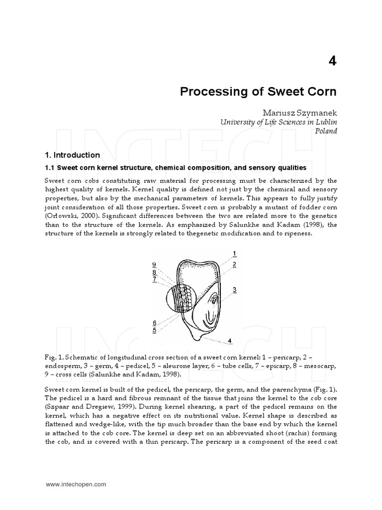 Sweet Corn Processing Overview | PDF | Maize | Seed