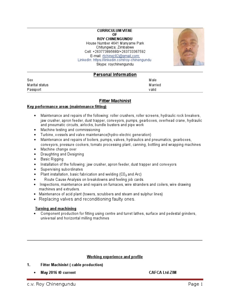 Curriculum Vitae (Roy) | PDF | Pump | Valve