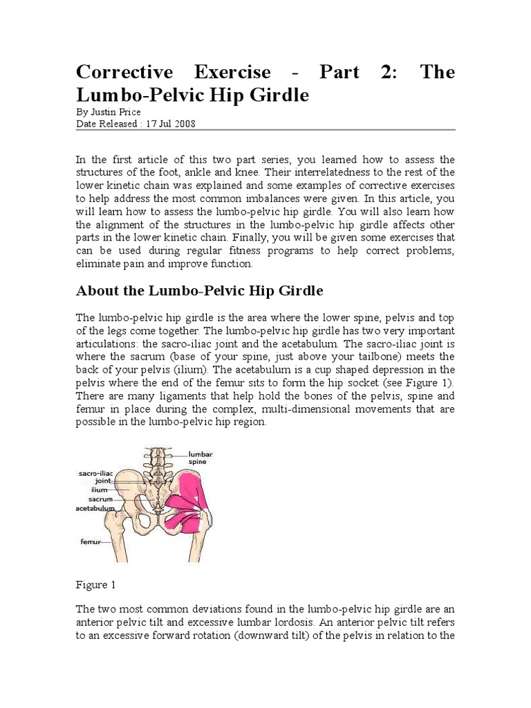Corrective Exercise The Lumbo Pelvic Girdle | PDF | Pelvis | Hip